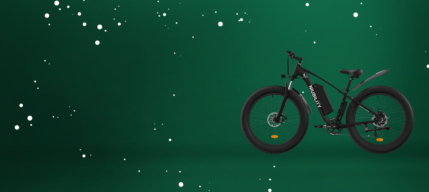 GOGOBEST ELECTRIC BIKES